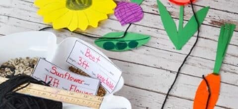 Flower Power Math: 15 Fun Activities for Preschoolers | Wonder Noggin