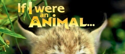 12 Awesome Science Shows For Kids (Parent’s Guide) | Wonder Noggin