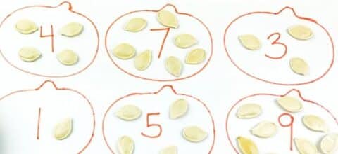 15 Fun Fall Math Activities For Preschoolers | Wonder Noggin