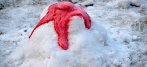 15 Frosty Winter Science Experiments For Preschoolers | Wonder Noggin